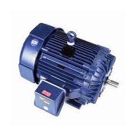 125 HP Leeson Motor, 444TS Frame, 3600 RPM, 380/460 V, #1006